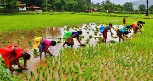 CSR Activities of Indian Companies - Vskills Blog