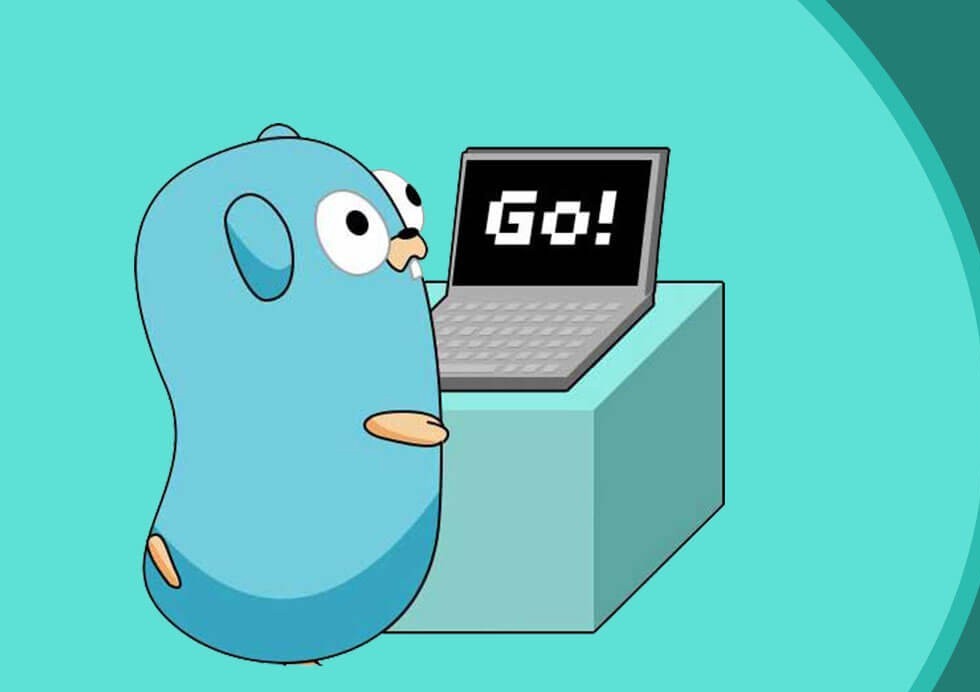 What Is Go Language And Why Is It So Popular Vskills Blog