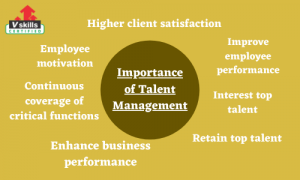 What is Talent Management and why is it Important? - Vskills Blog