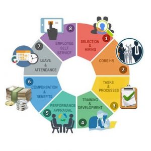 Future Scope and Opportunities of Human Resource Management in 2022 ...