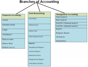 Business Accountant Tutorials | Branches of Accounting