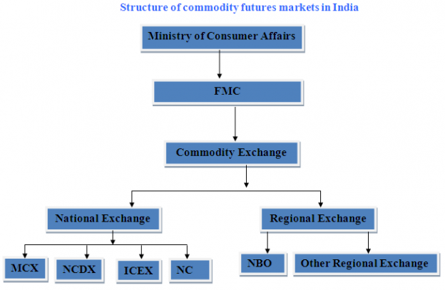Structure of the Indian Commodity Market - Tutorial