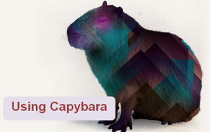 Using Capybara - Vskills Tutorial