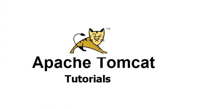Tomcat Server Web Development Tutorials Vskills Certification