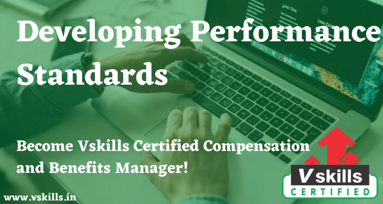 Compensation and Benefits Tutorial | Developing performance standards