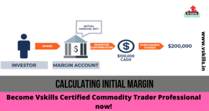 Calculating Initial Margin - Tutorial