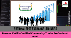 National Spot Exchange Ltd (NSEL) Tutorials