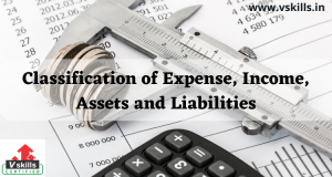 Classification of Expense Income Assets and Liabilities - Tutorial