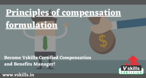 Compensation and Benefits Tutorial | Principles of compensation formulation