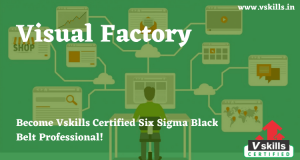 Six Sigma Black Belt Tutorial | Visual Factory