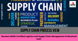 Supply Chain Process View - Tutorial